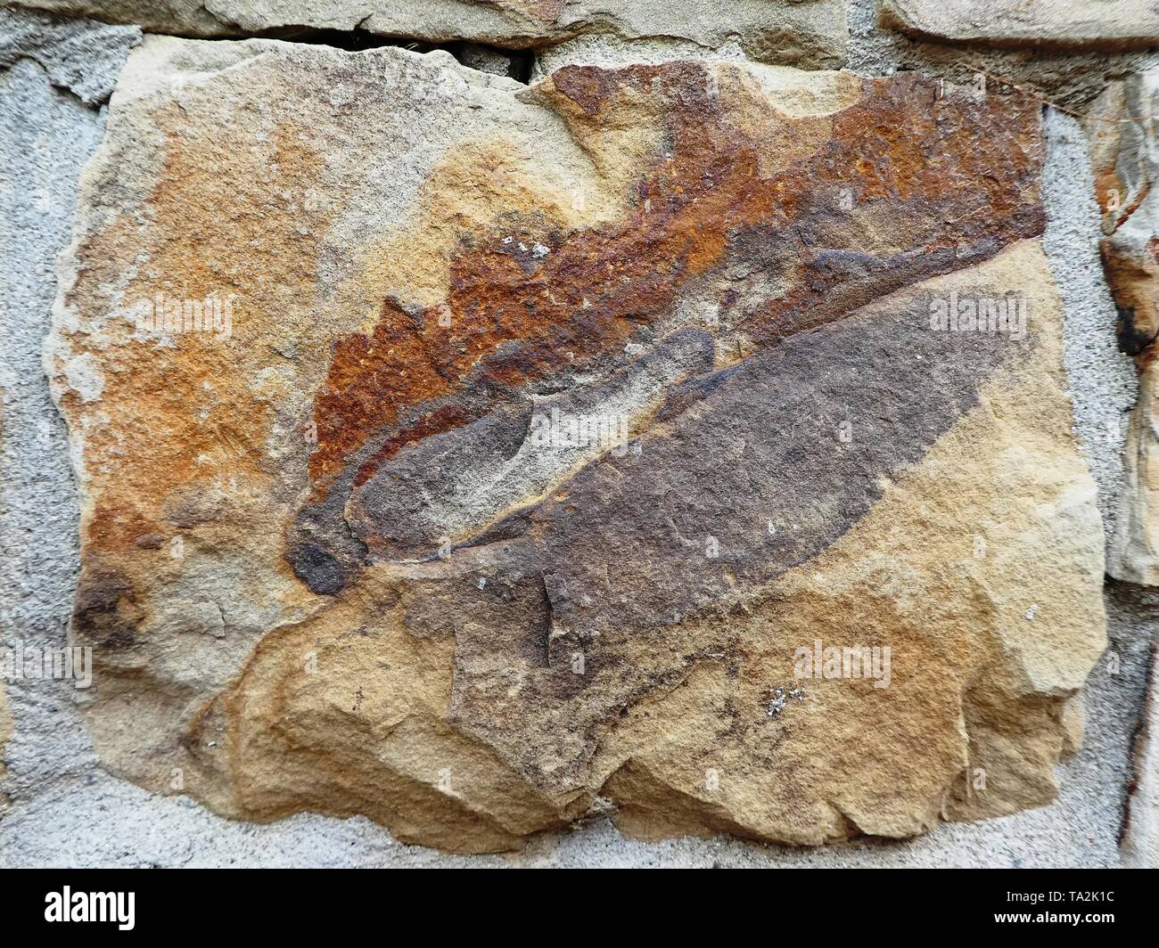Closeup image of a natural paving stone embedded in a retaining wall ...