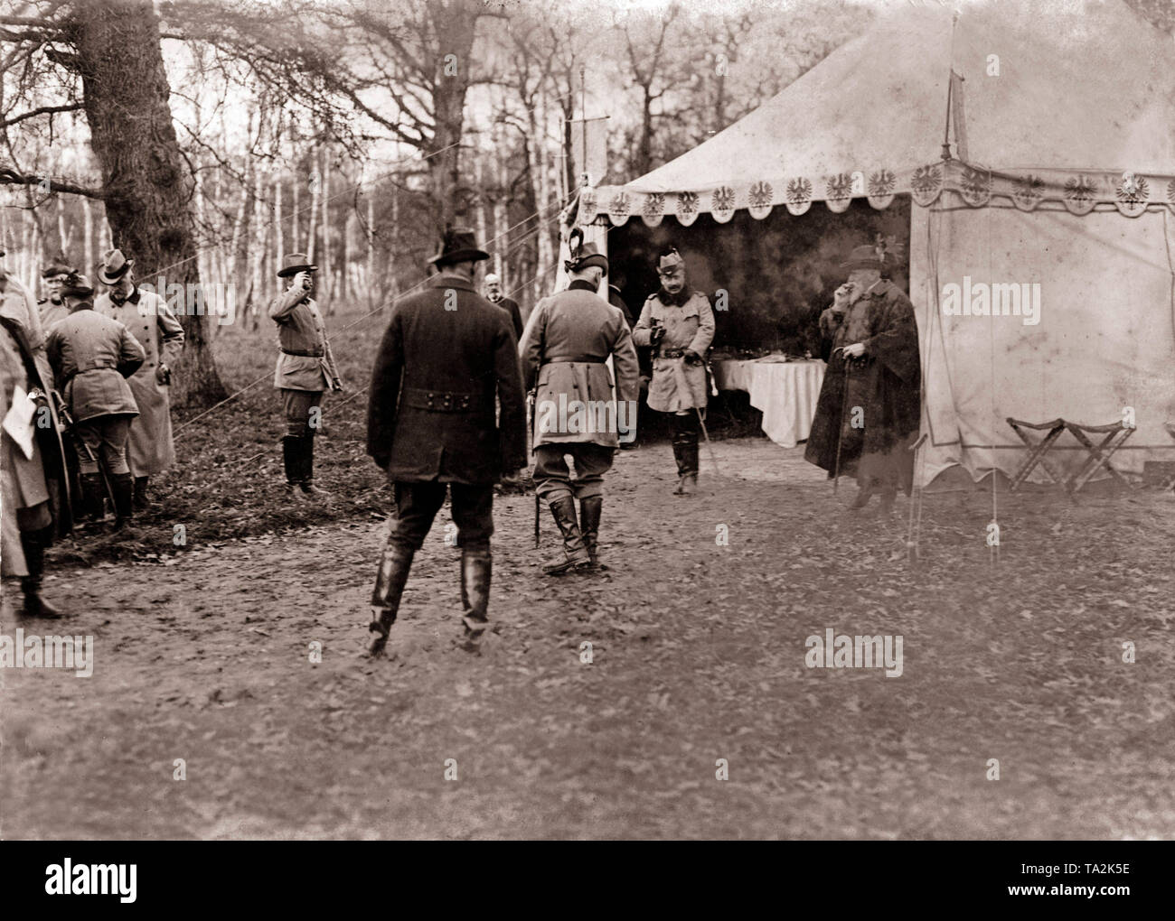 Emperor Wilhelm II (in a hunting uniform with a fur collar in front of ...