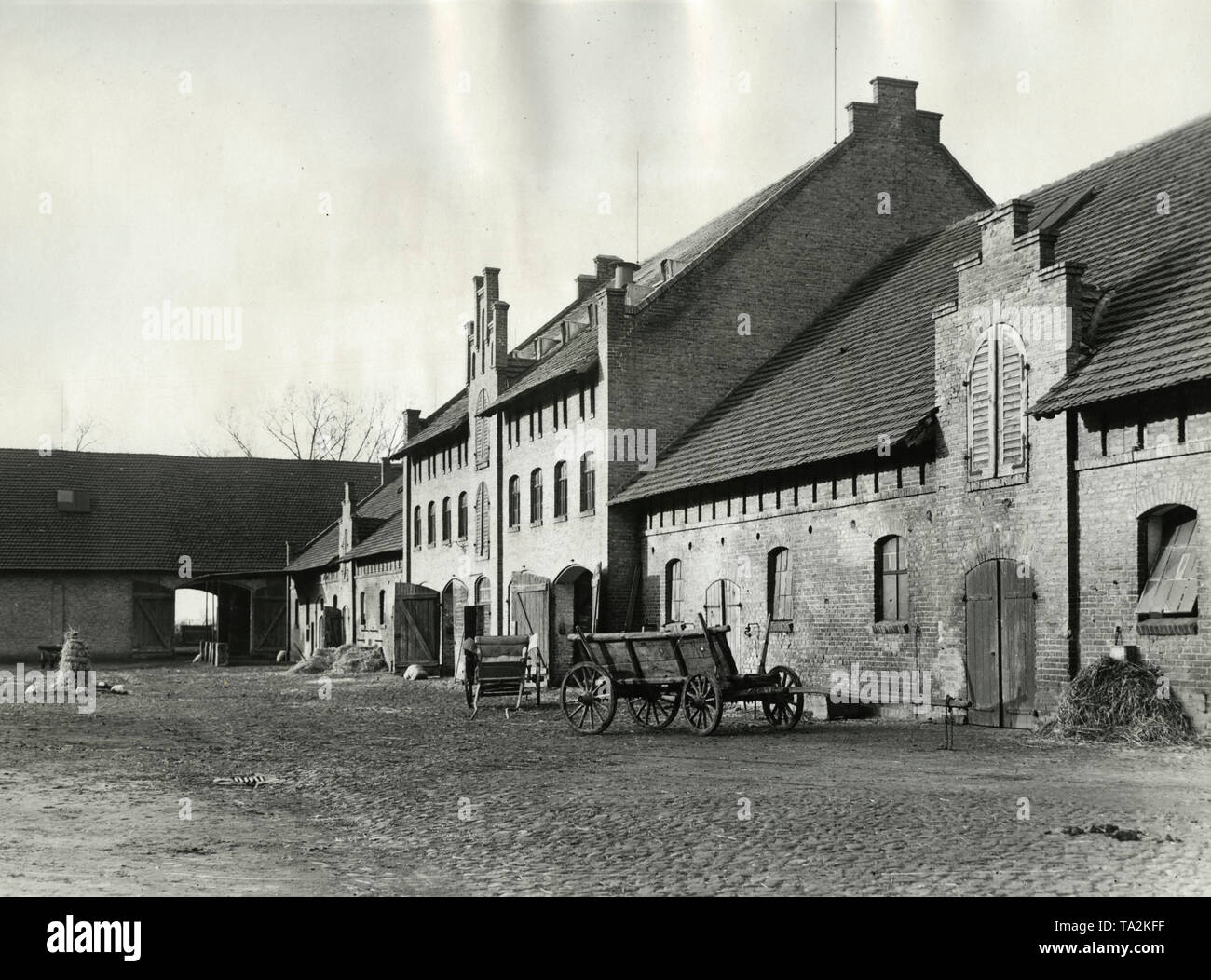 Falkenrehde hi-res stock photography and images - Alamy