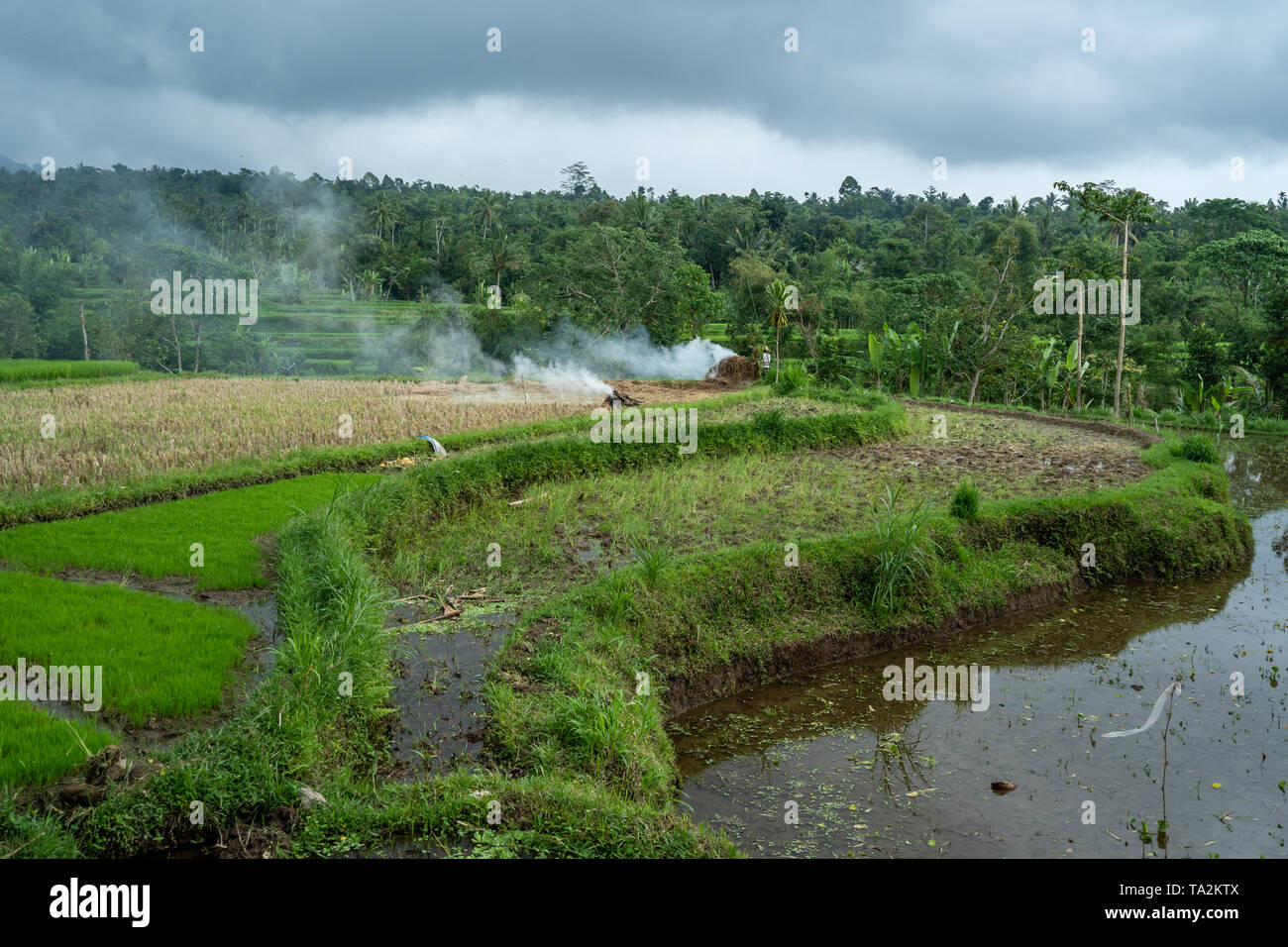 Indonesia smoke forest fire hi-res stock photography and images - Alamy
