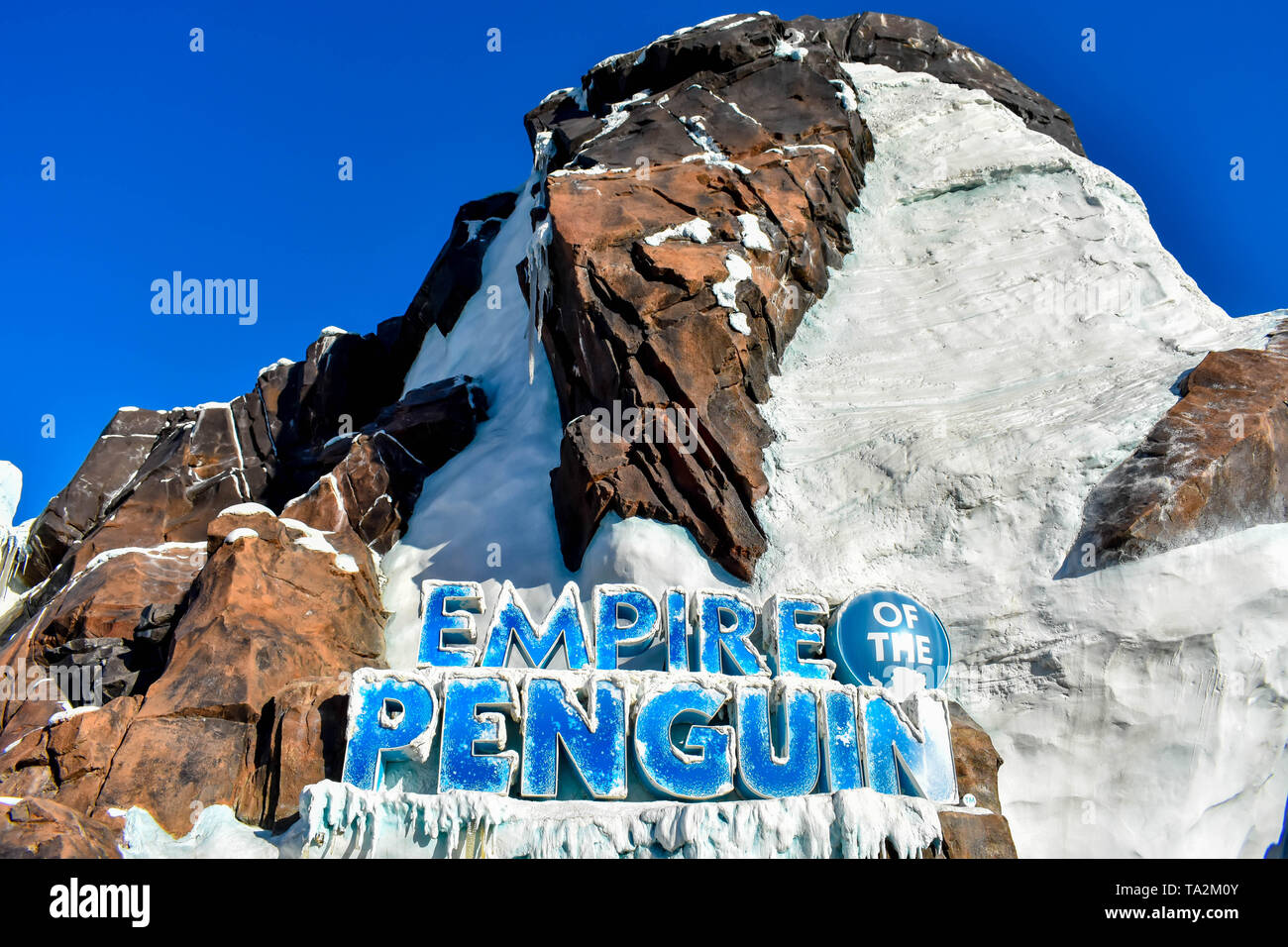 Seaworld orlando dolphin hi-res stock photography and images - Alamy