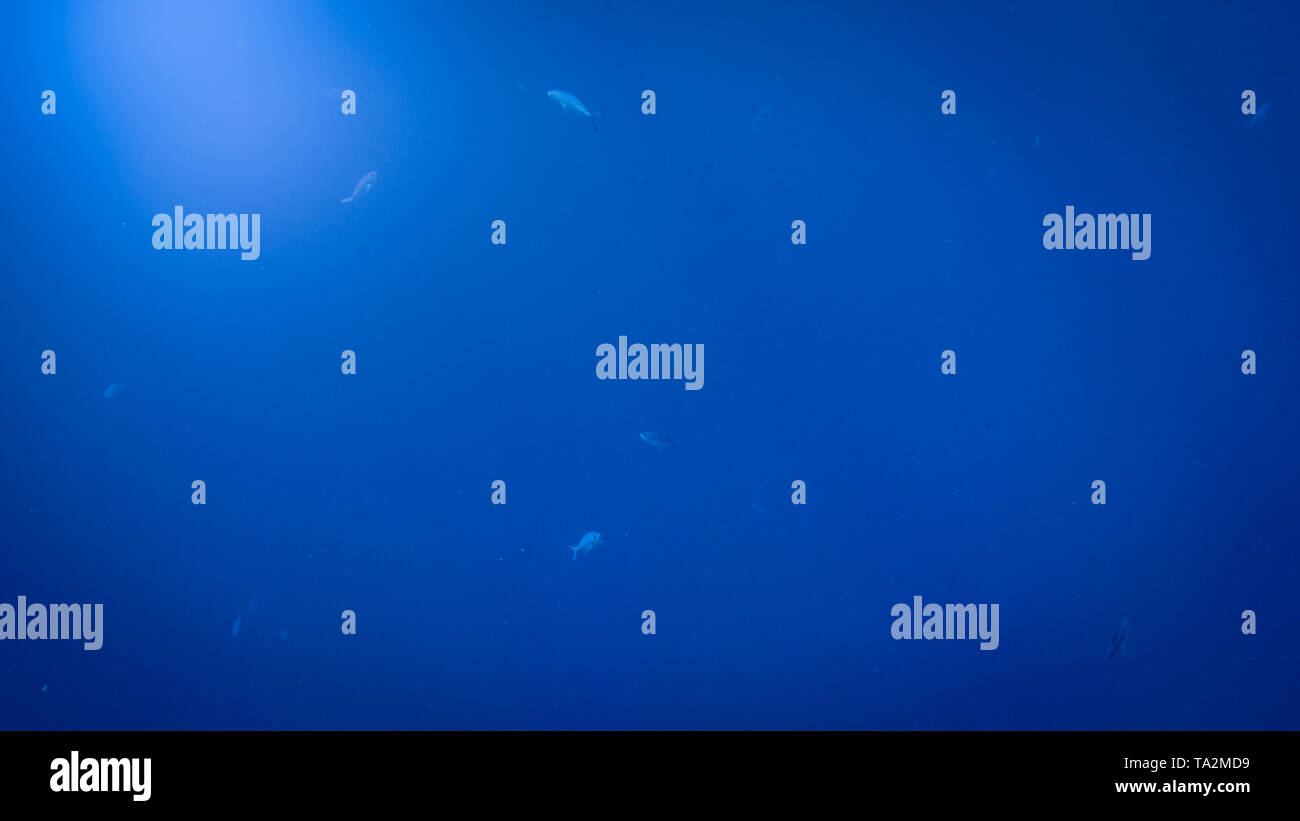 Amazing underwater image of sun and light rays shining through deep ...