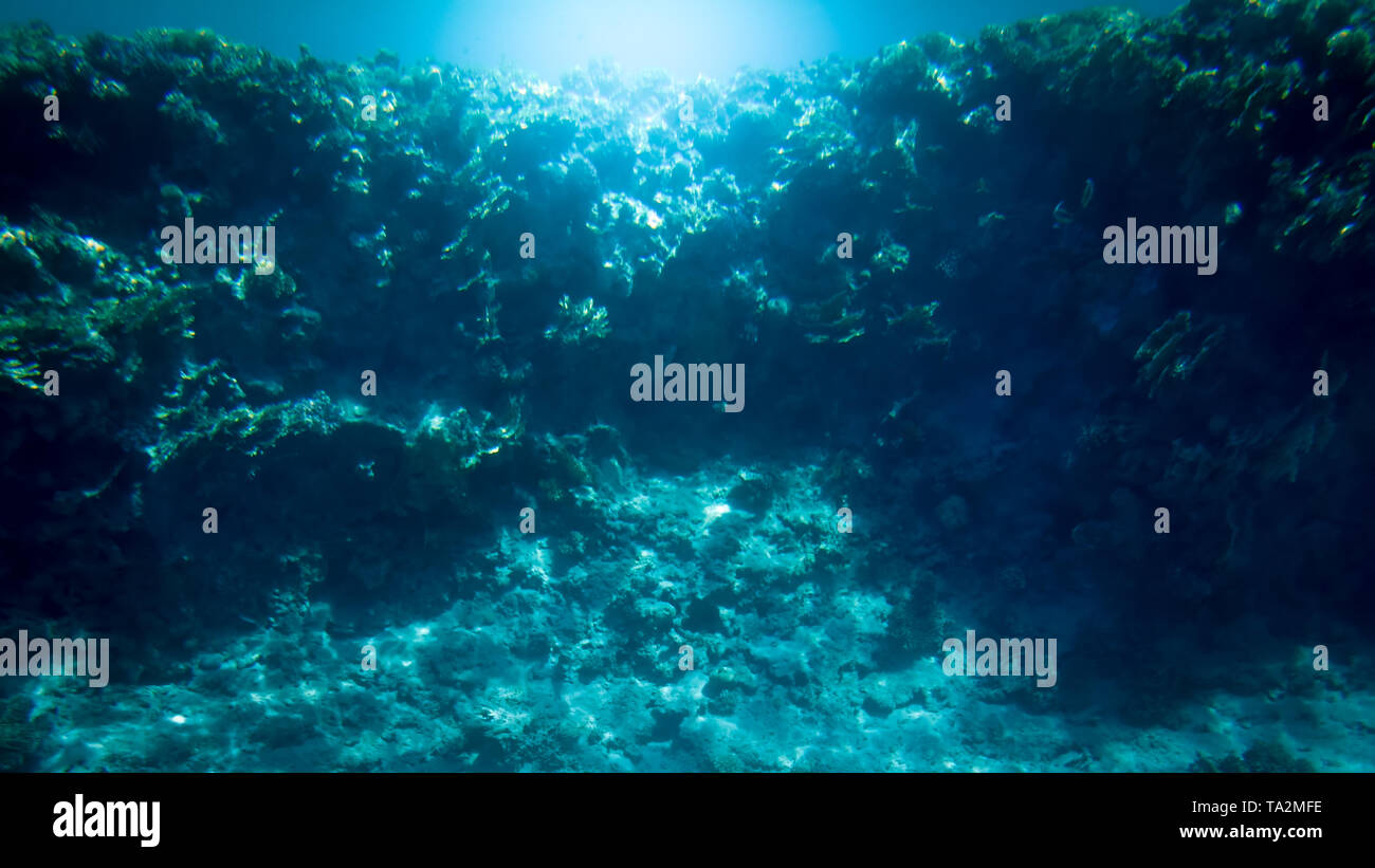 Beautiful underwater image of colorful tropical coral reef on the Red ...