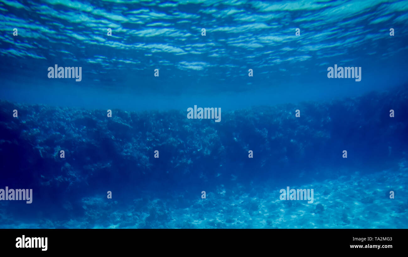 Beautiful underwater seascape of coral reef and sea bottom at the Red ...