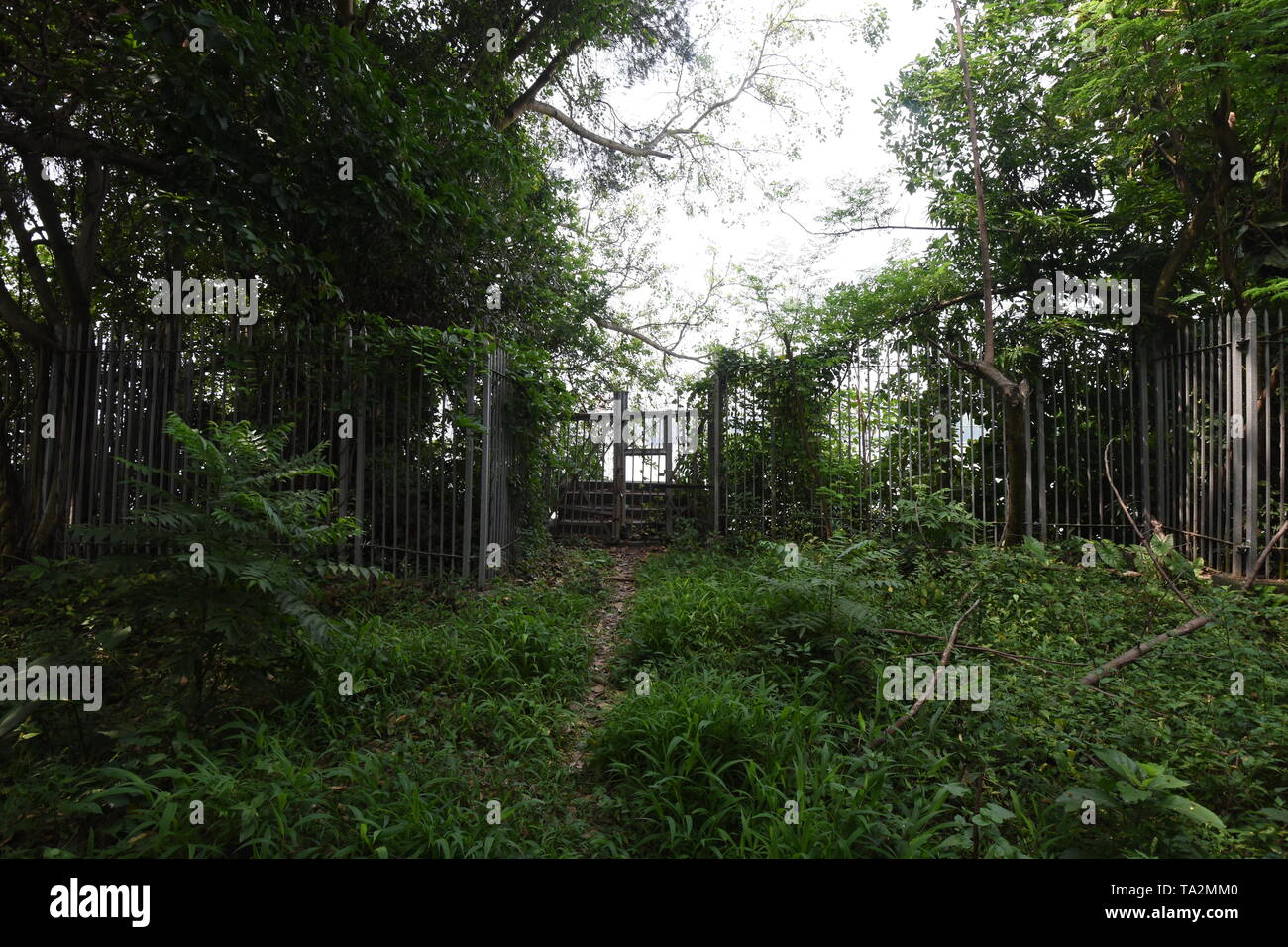 William roxburgh and indian hi-res stock photography and images - Alamy