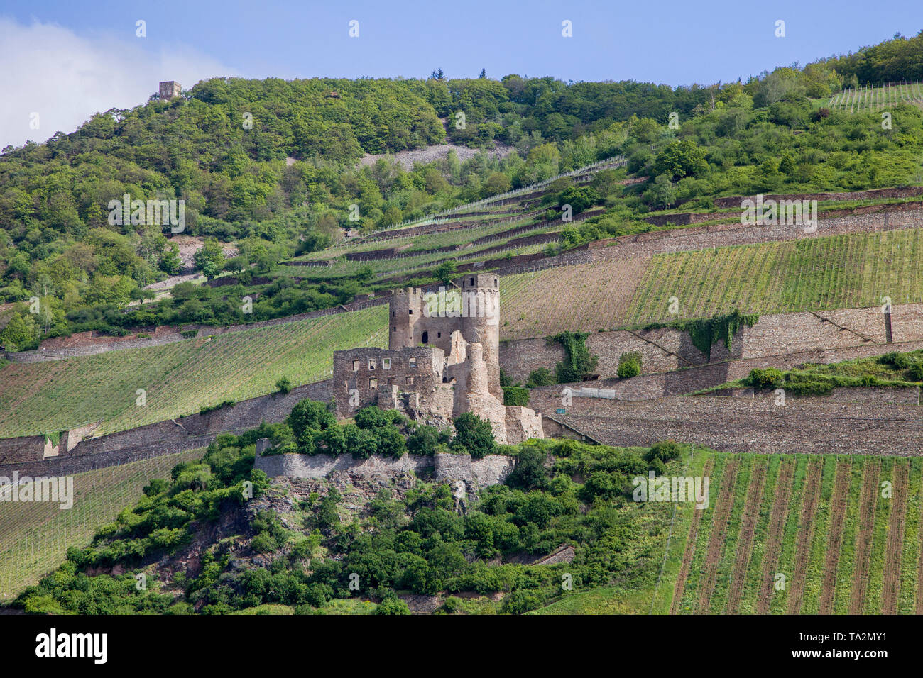 Ehrenfels ruine hi-res stock photography and images - Alamy