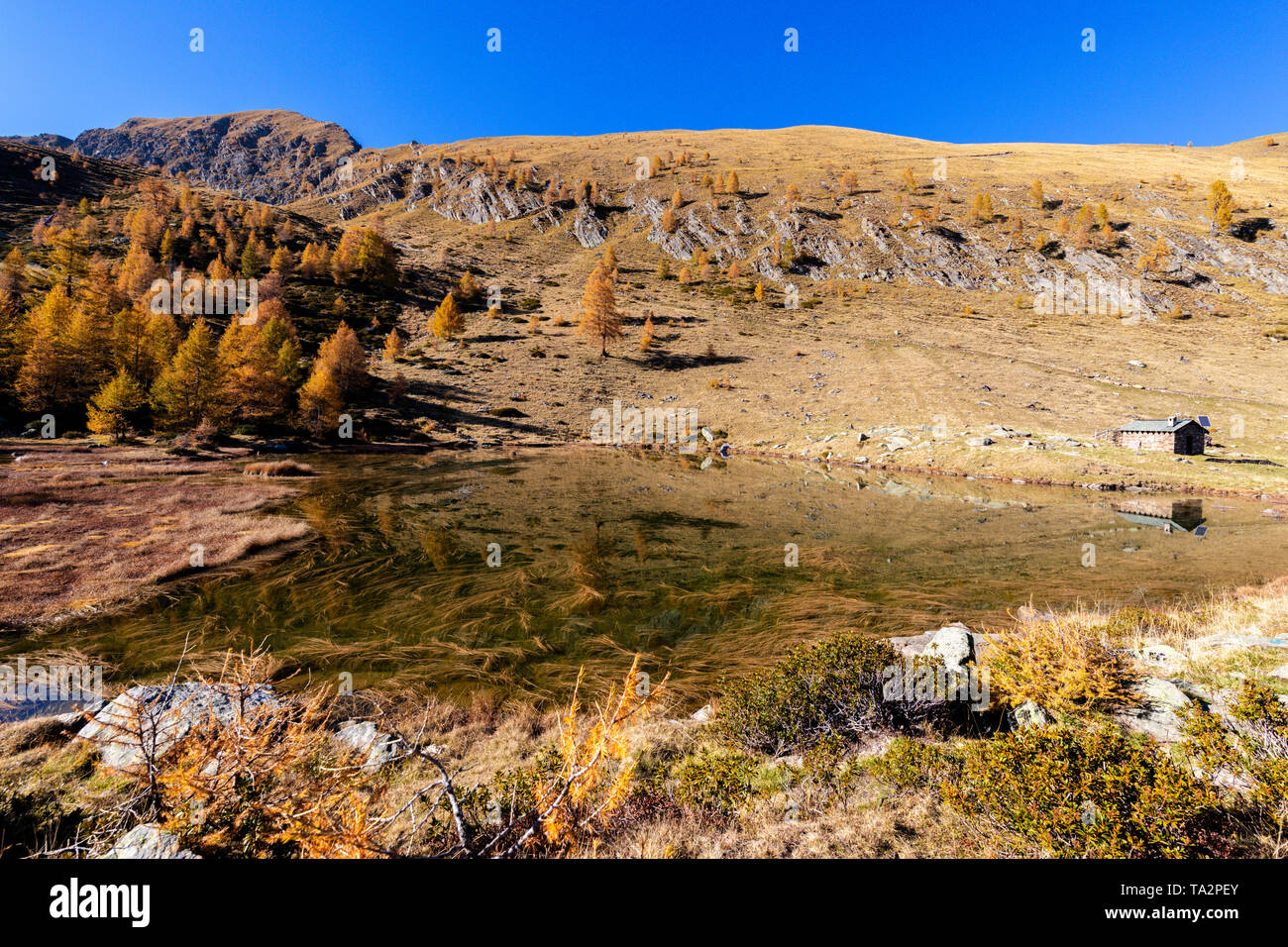 Val valtellina hi-res stock photography and images - Alamy