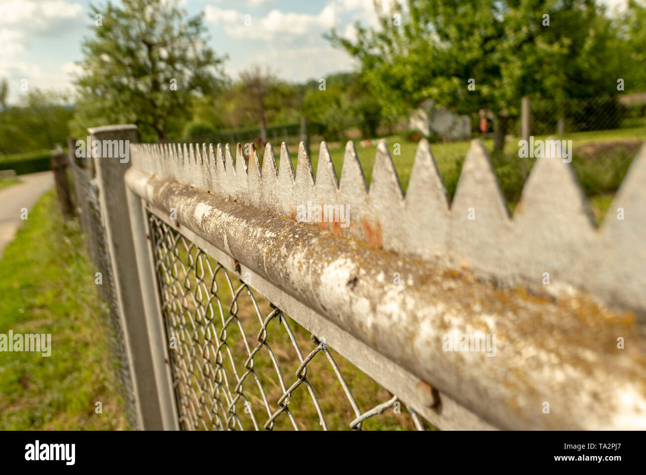 steel fence with pointed thorns for protection on a garden property ...