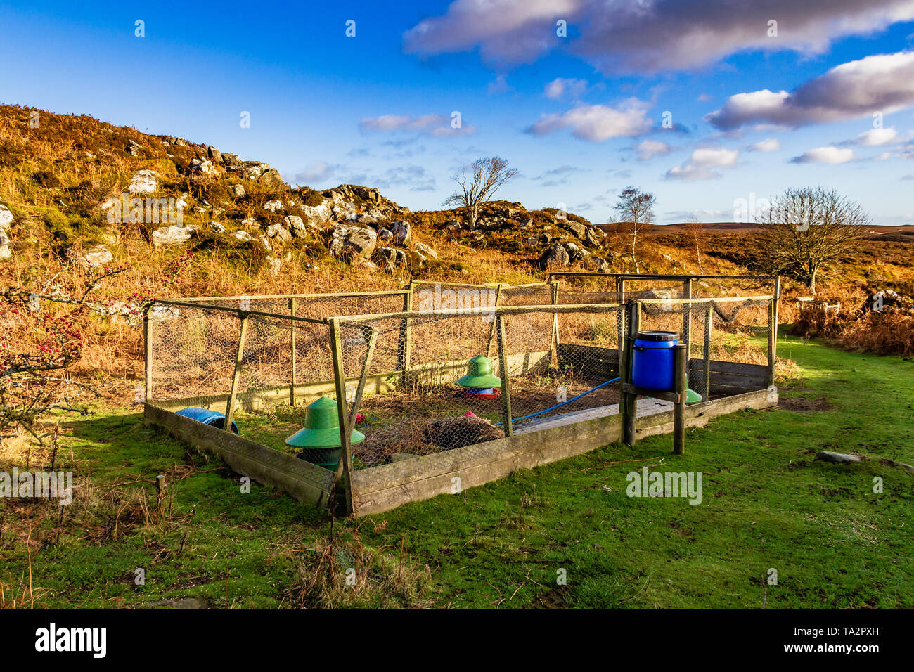 Game bird pens hi-res stock photography and images - Alamy