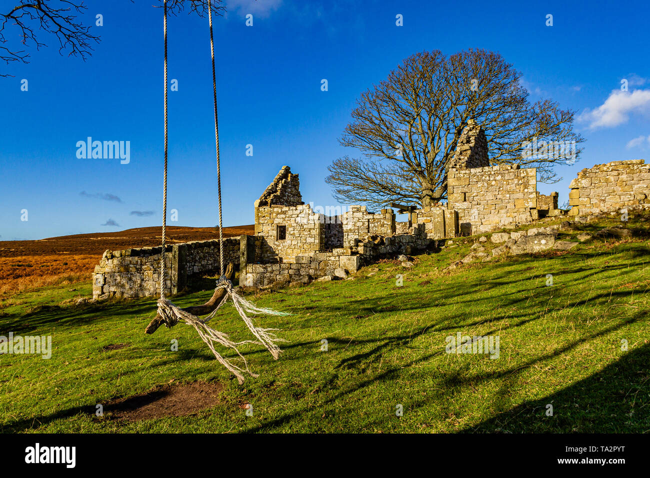 A rope swing beside the ruins of Blawearie farmhouse on Bewick Moor ...
