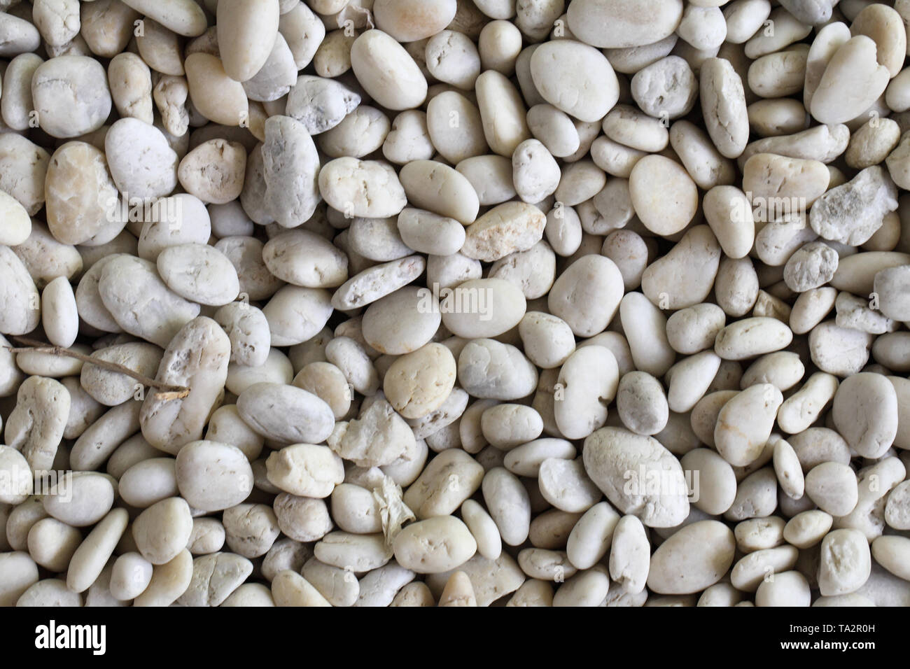 Pebble rock and stone for background texture Stock Photo - Alamy
