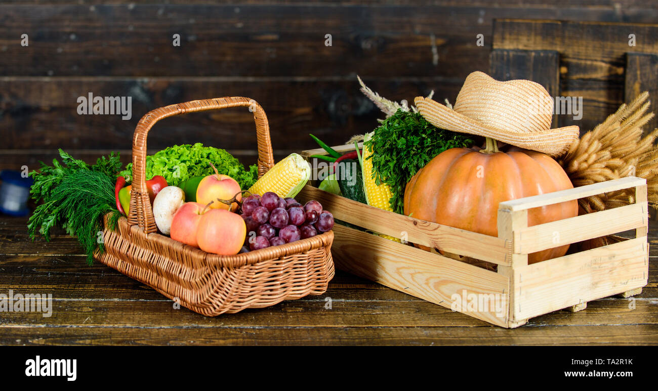 The nutritional choice. rich autumn crop. seasonal vitamin. organic and ...