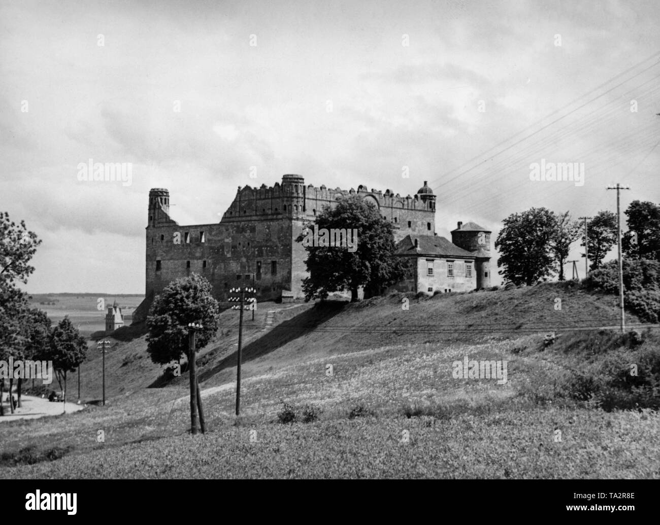 Gollub hi-res stock photography and images - Alamy