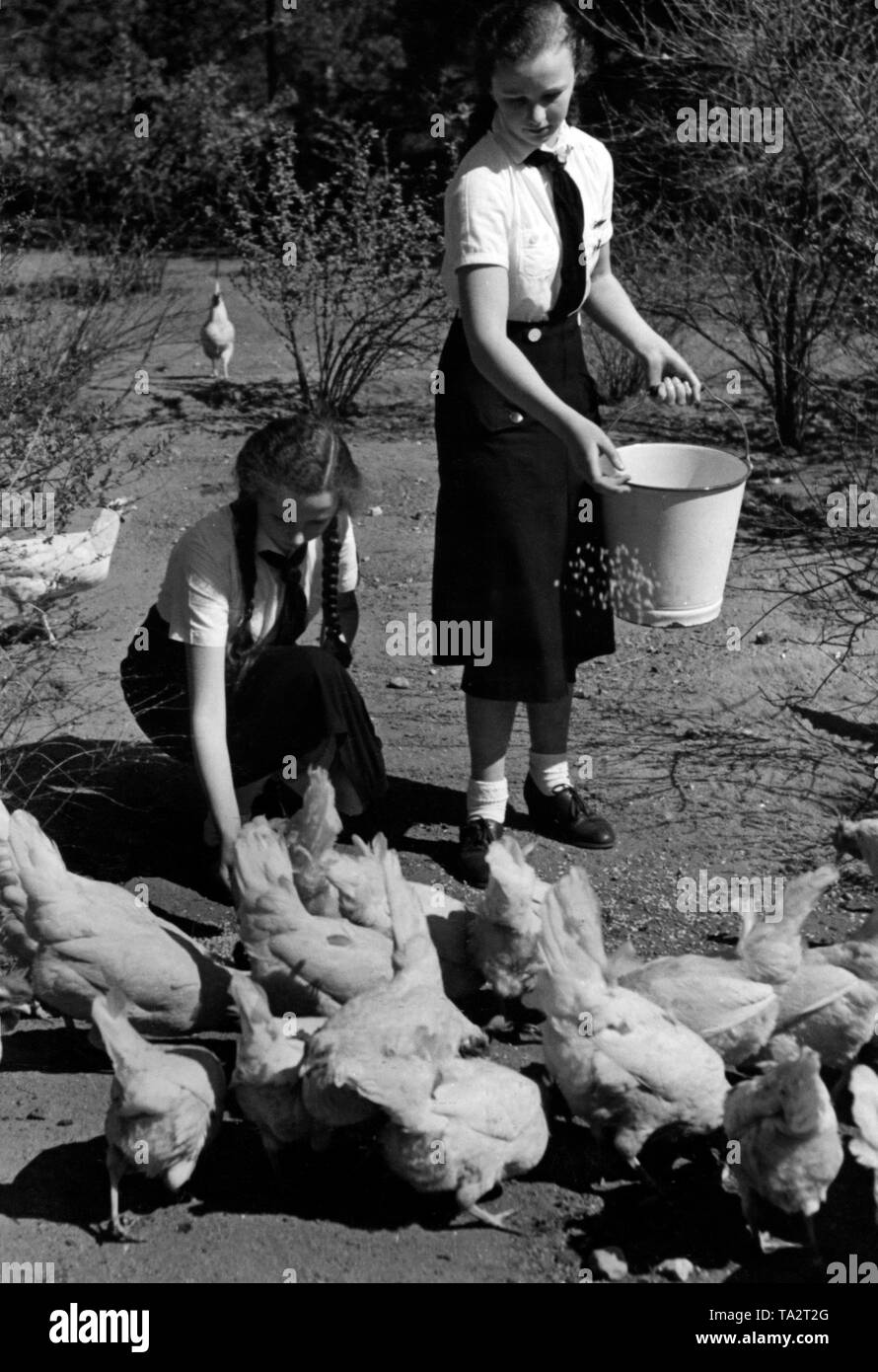 In the framework of the Reichswerbe- und Opfertag (feast of sacrifice ...