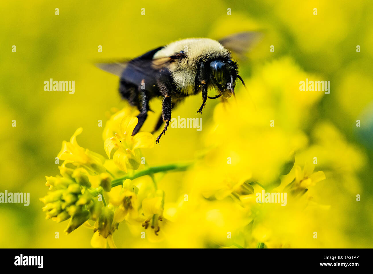 Flyby photography hi-res stock photography and images - Alamy