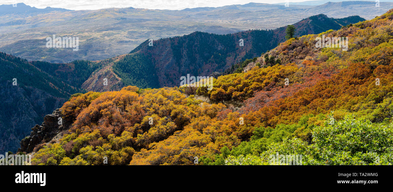 Juna hi-res stock photography and images - Alamy