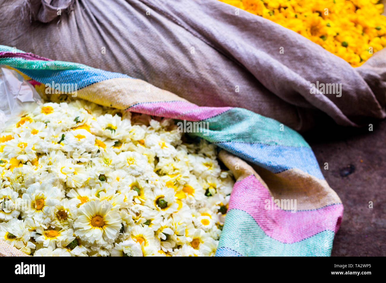 Fresh cut flowers placed in a colorful sack bag ready for sale on ...