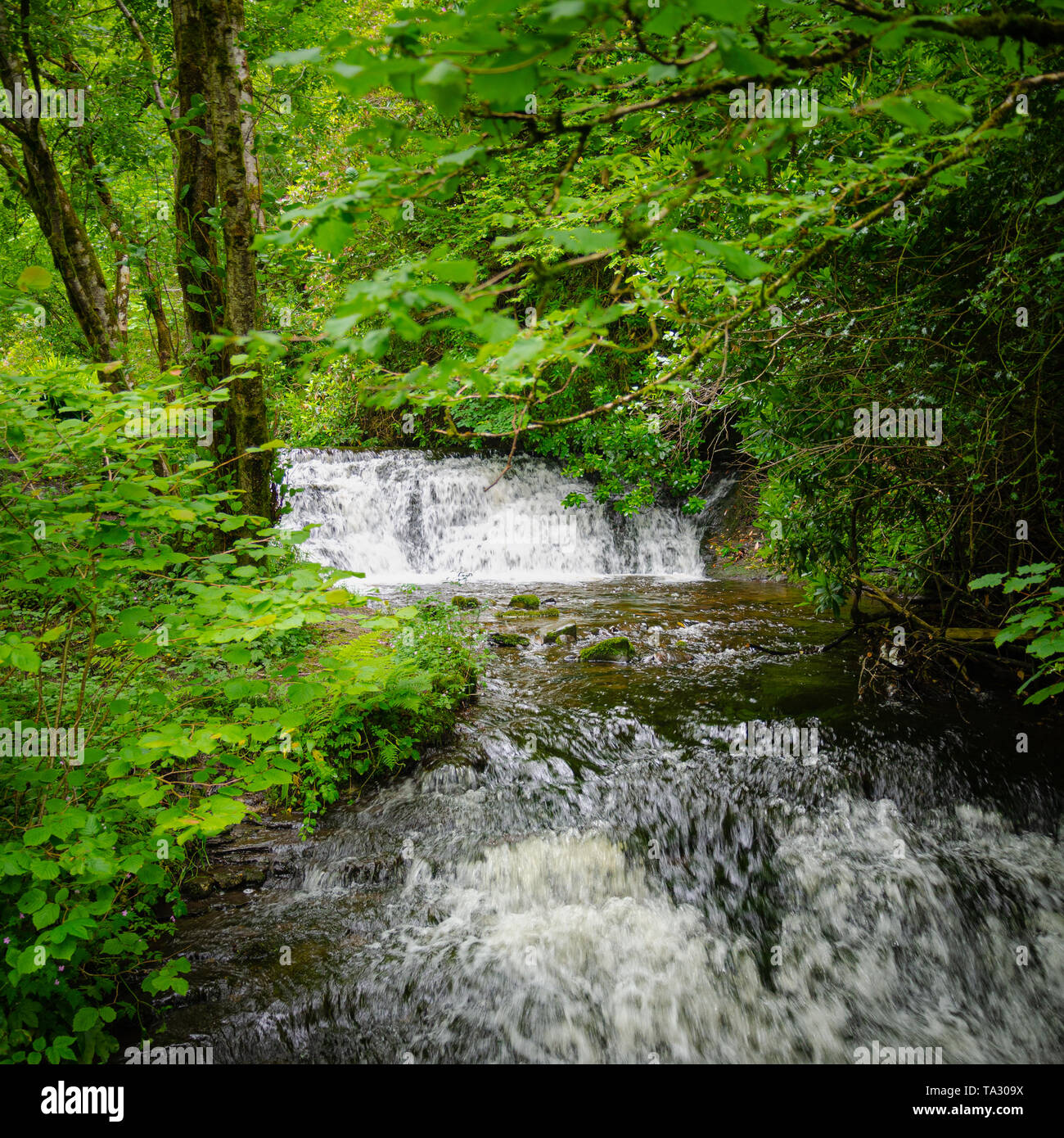Glencar Stream, County Leitrim, Ireland Stock Photo - Alamy