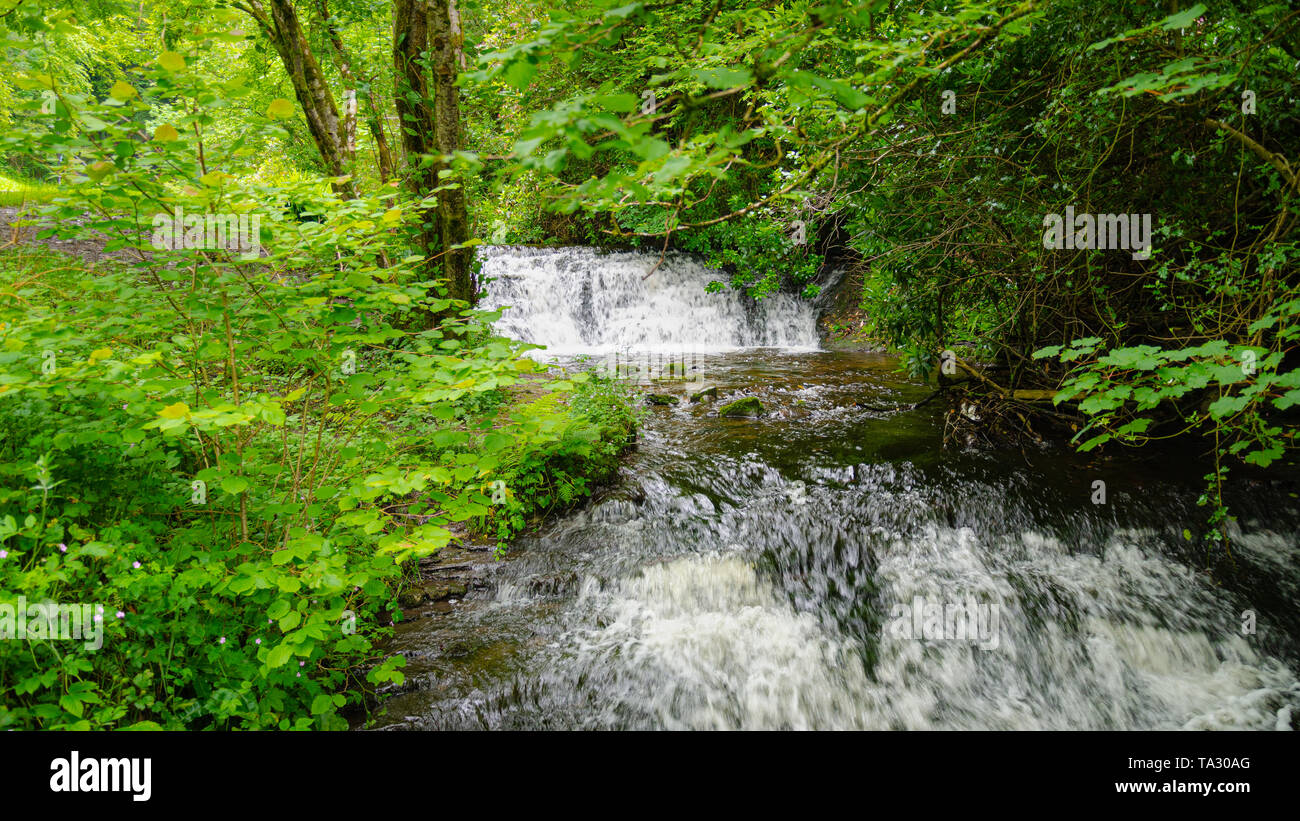 Glencar Stream, County Leitrim, Ireland Stock Photo - Alamy