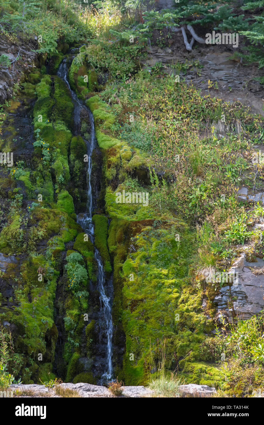 Hiking in crater lake national park hi-res stock photography and images ...