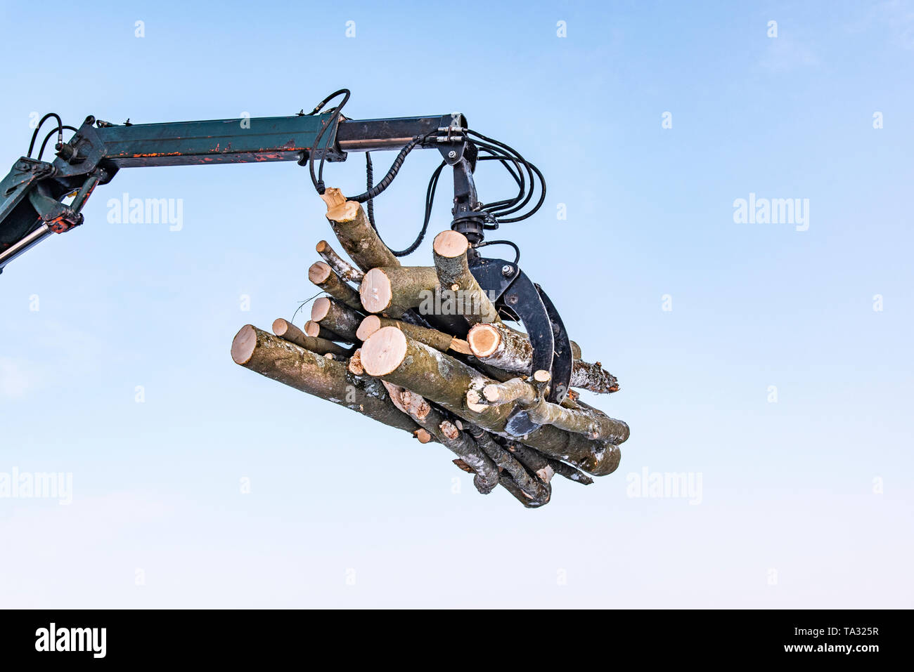 Hydraulic manipulator with logs, on sky background Stock Photo - Alamy