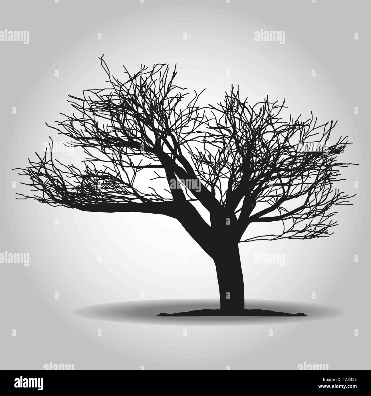 Tree icon. Forest symbol. Flat web sign on white background. Vector ...