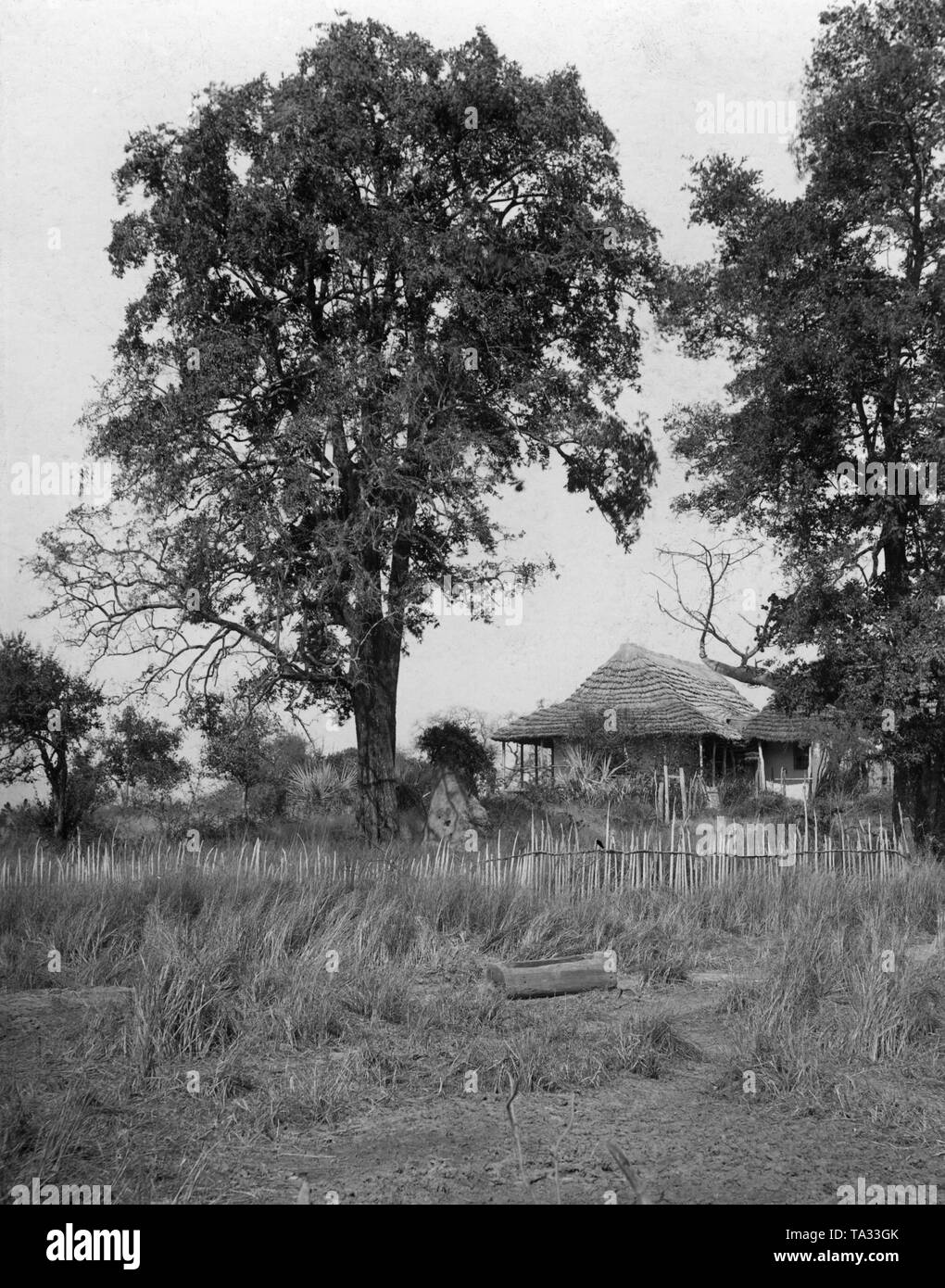 Ovamboland hi-res stock photography and images - Alamy