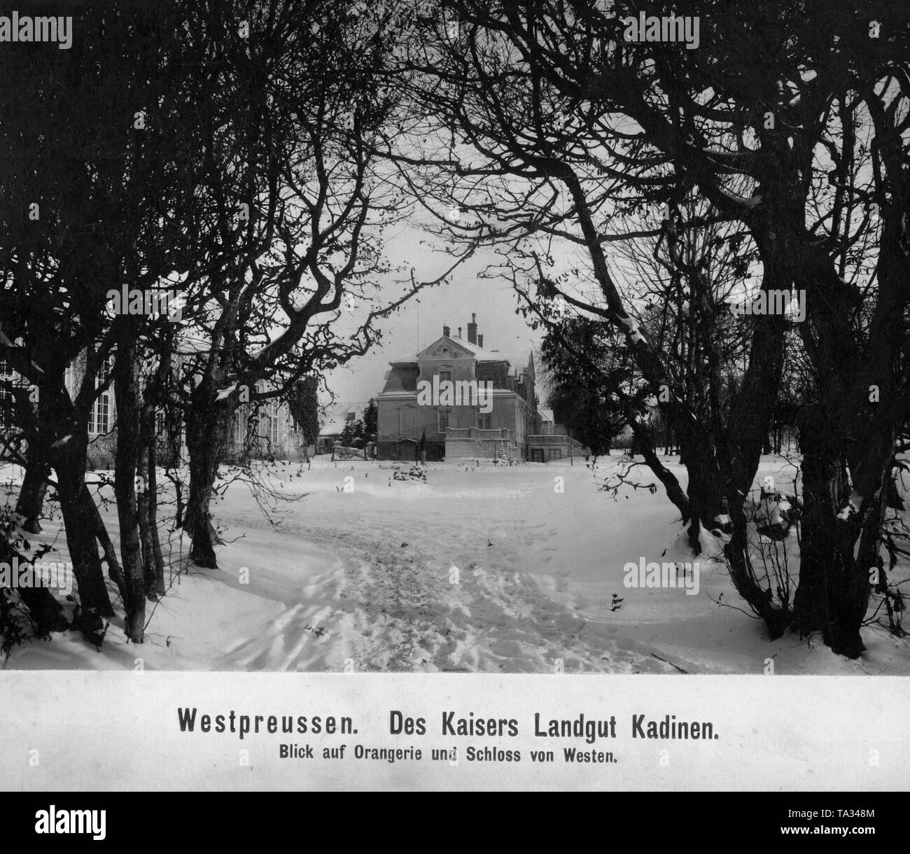 Estate of the emperor in Kadyn (Kadyny) in West Prussia, view of the ...