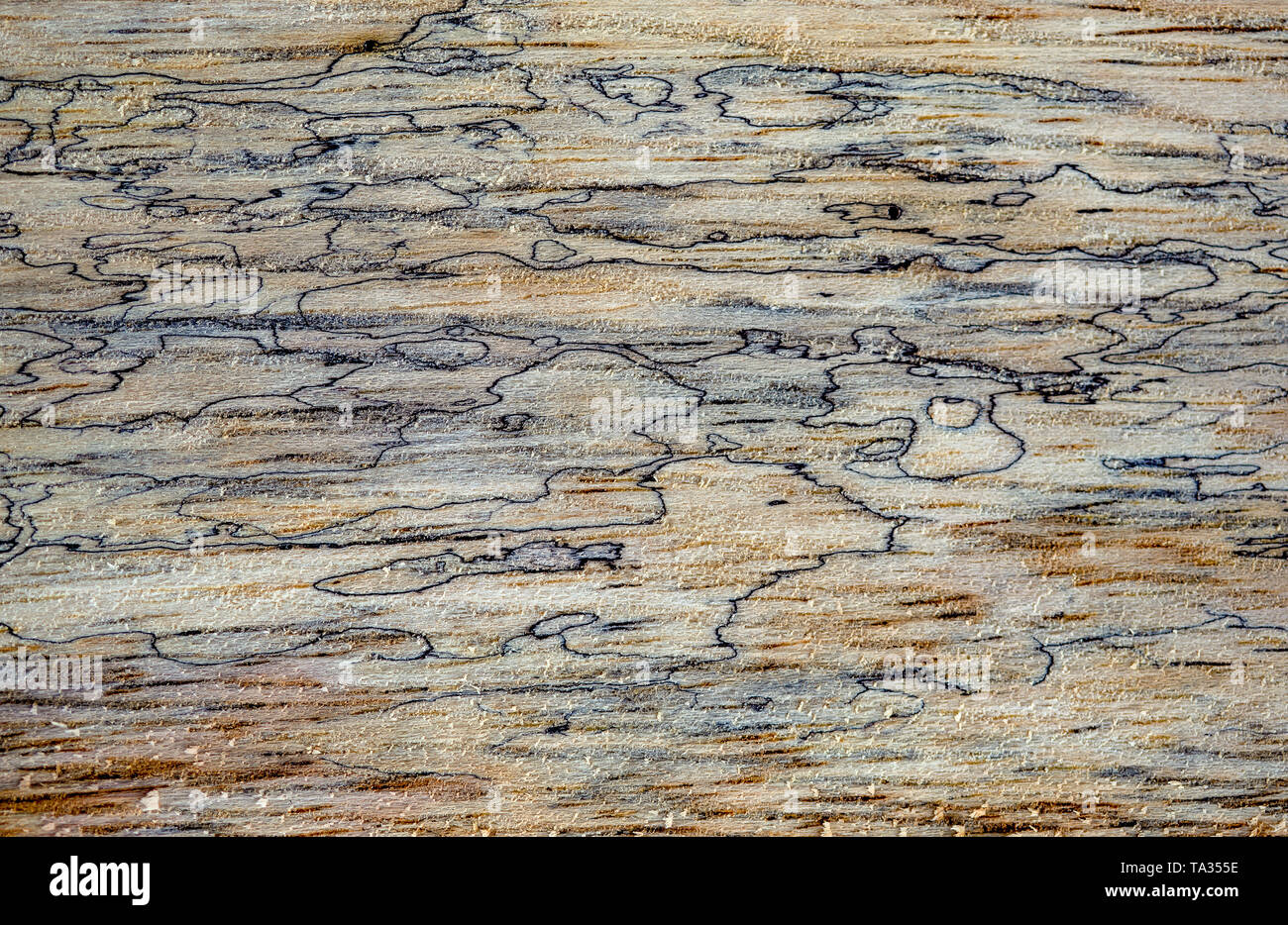 Macro photography of different textures of wood produced naturally by ...