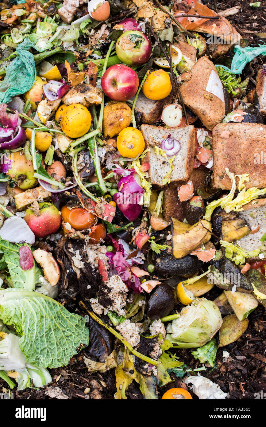 Pile vegetables waste hi-res stock photography and images - Alamy