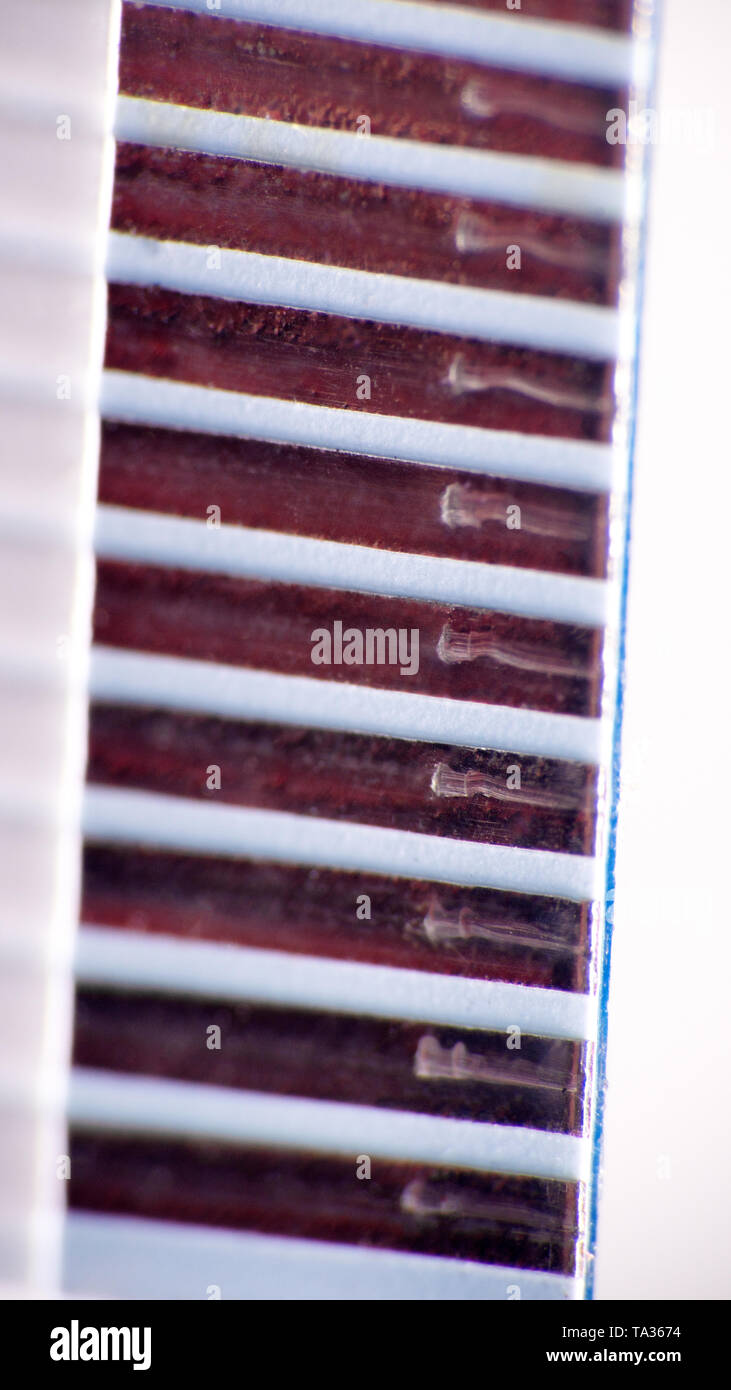 ribbon cable electronic plastic ultra macro. part from the computer ...