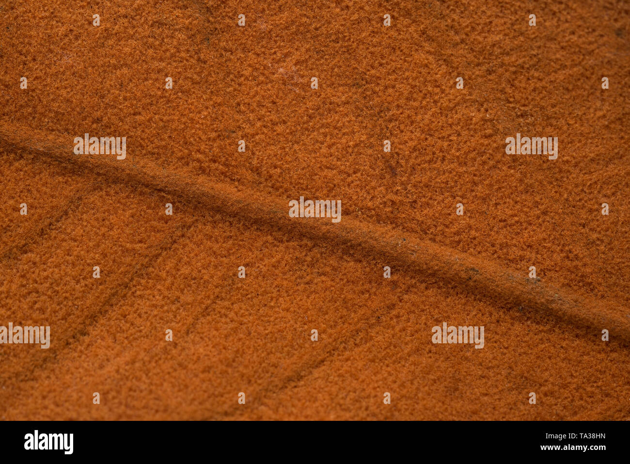 Indumentum hi-res stock photography and images - Alamy