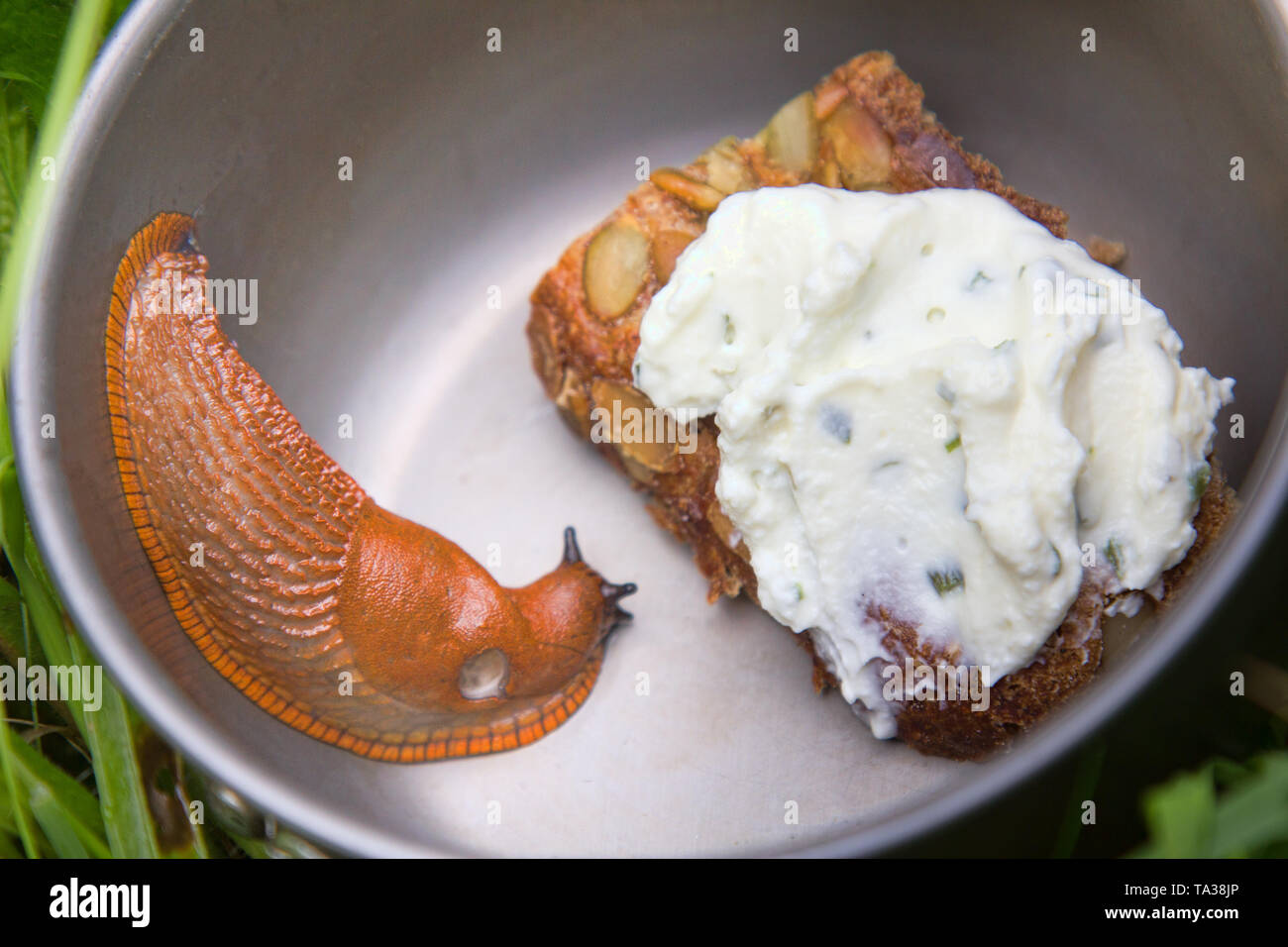 Slug iron hi-res stock photography and images - Alamy