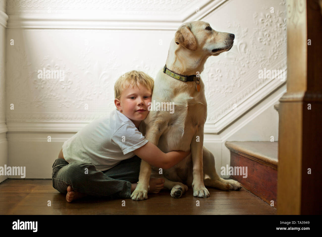 Portrait of a young boy and his dog Stock Photo - Alamy