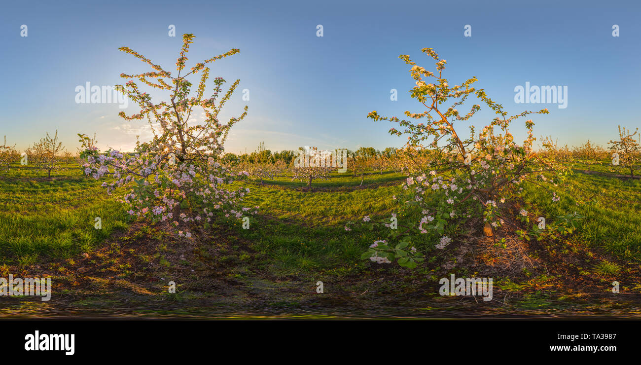 360 degree environment hi-res stock photography and images - Alamy