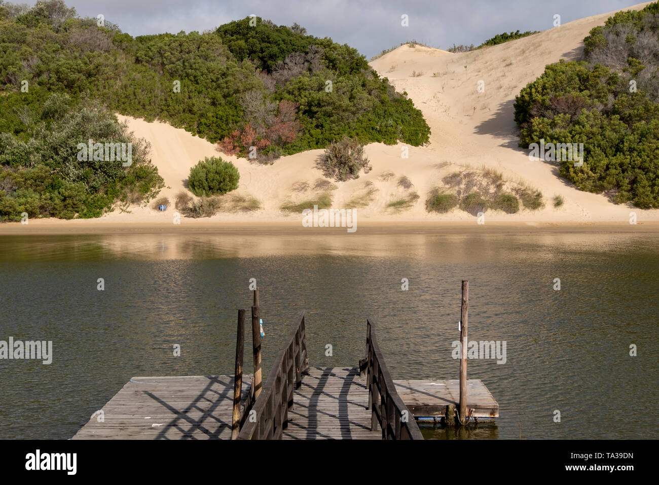 Alexandria dune fields near Addo / Colchester on Sunshine Coast in ...