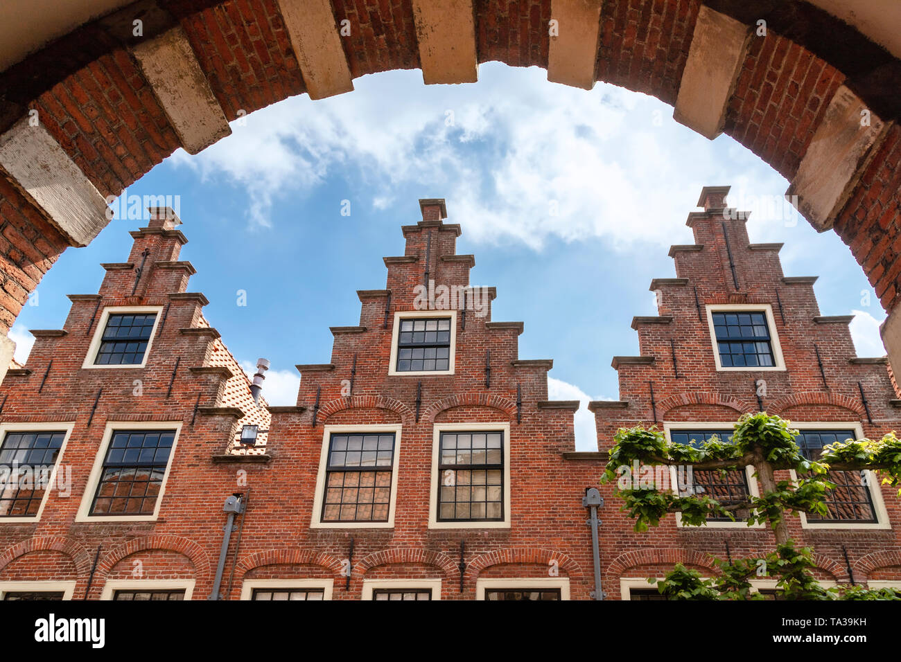 17th century dutch pattern hi-res stock photography and images - Alamy