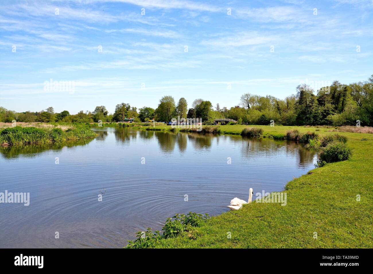 The River Wey Navigation near Ripley on a sunny summers day, Surrey ...