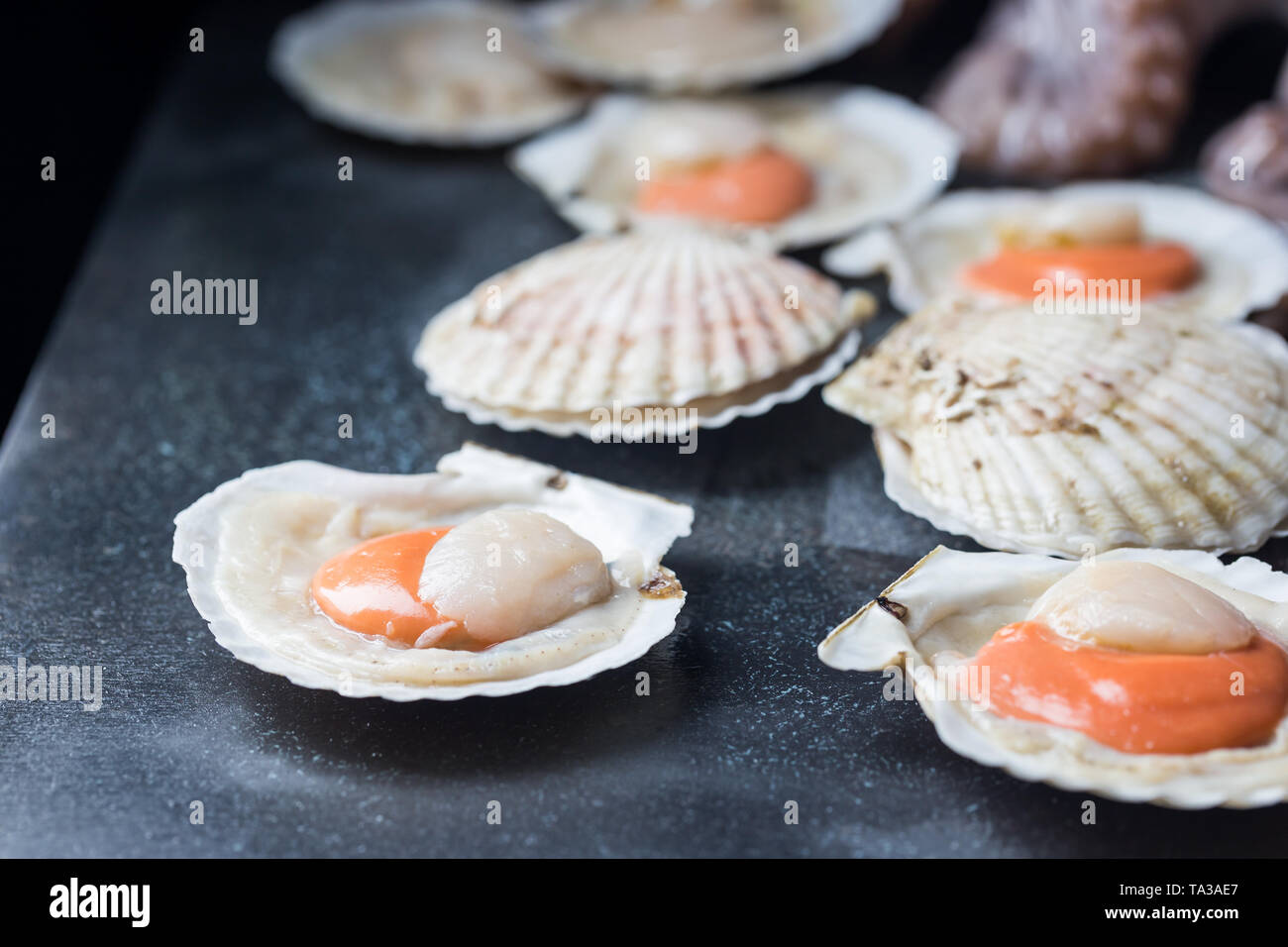 Eating queen scallops hi-res stock photography and images - Alamy