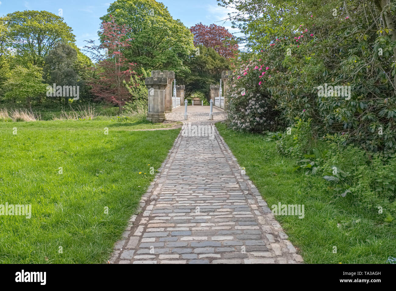 Scottish Country Parks at the start of summer as the trees are a lush ...