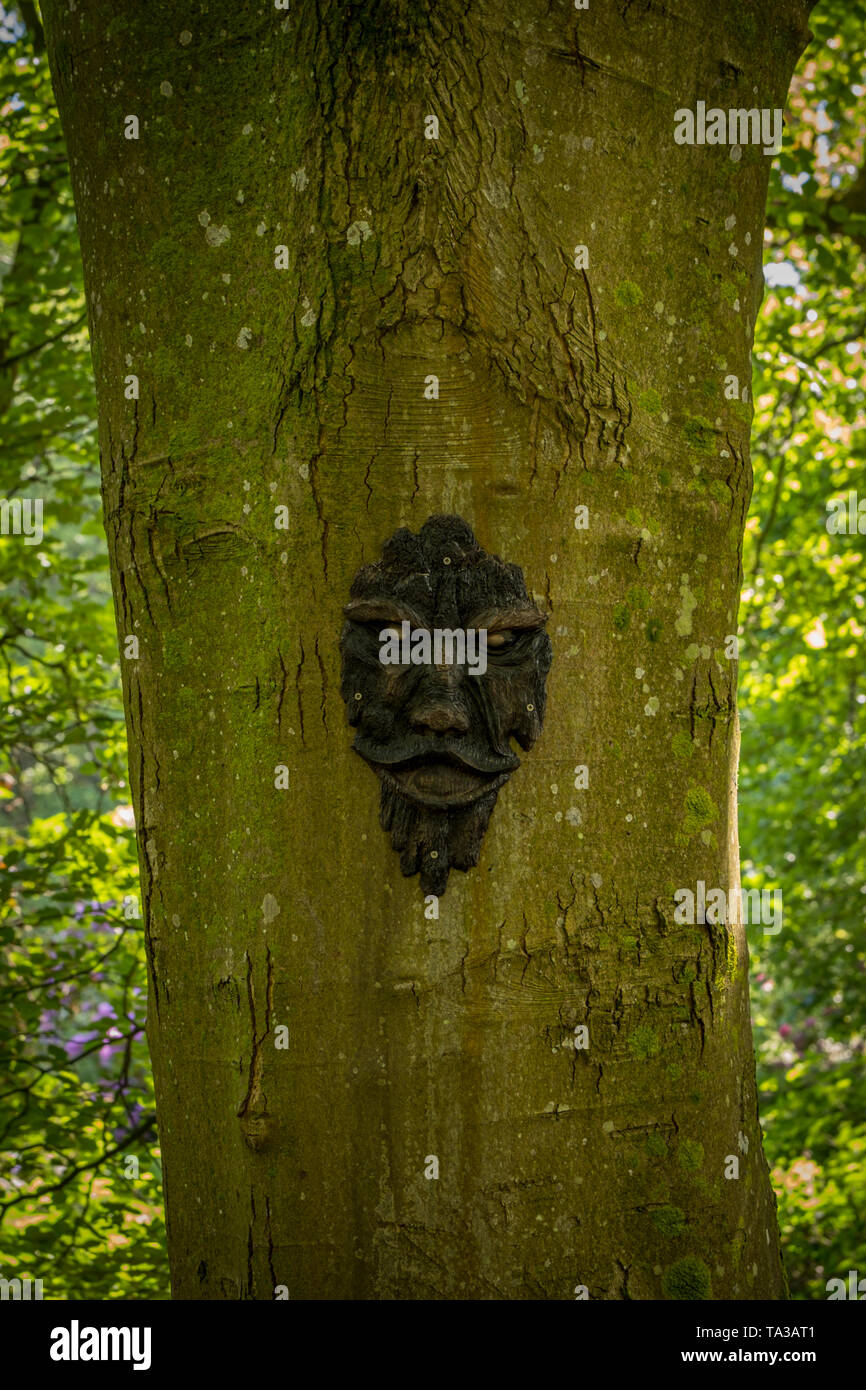 Scary tree carving hi-res stock photography and images - Alamy