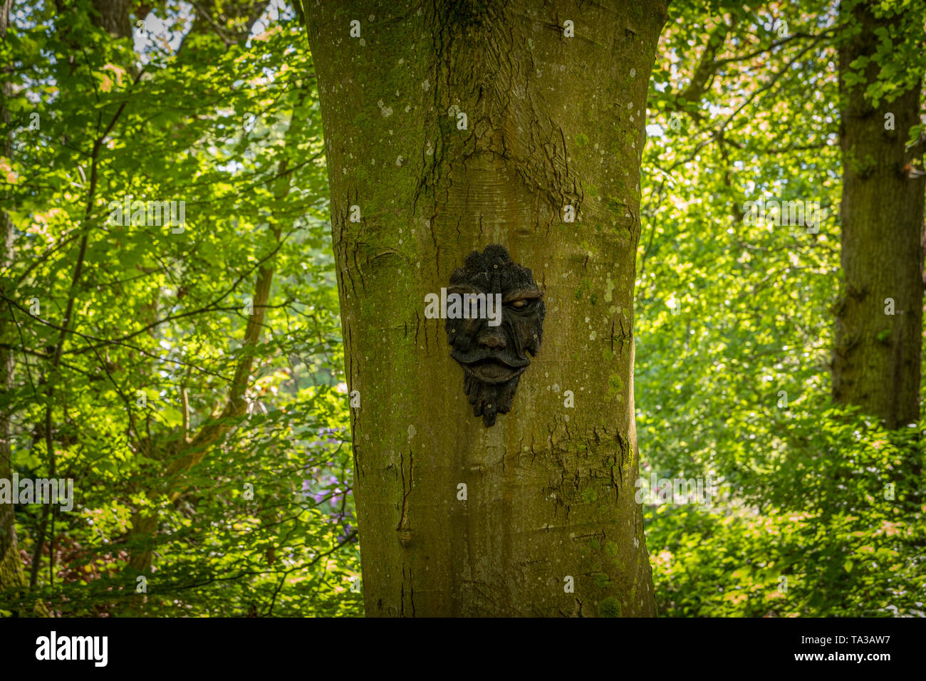 Scary tree carving hi-res stock photography and images - Alamy