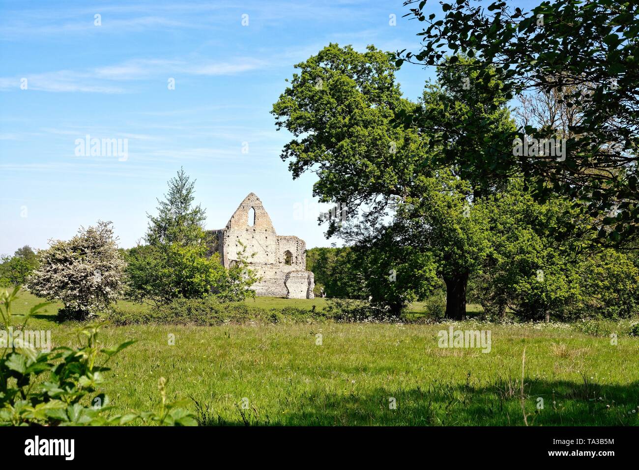The ruins of Newark Abbey, an Augustinian priory near Ripley and ...