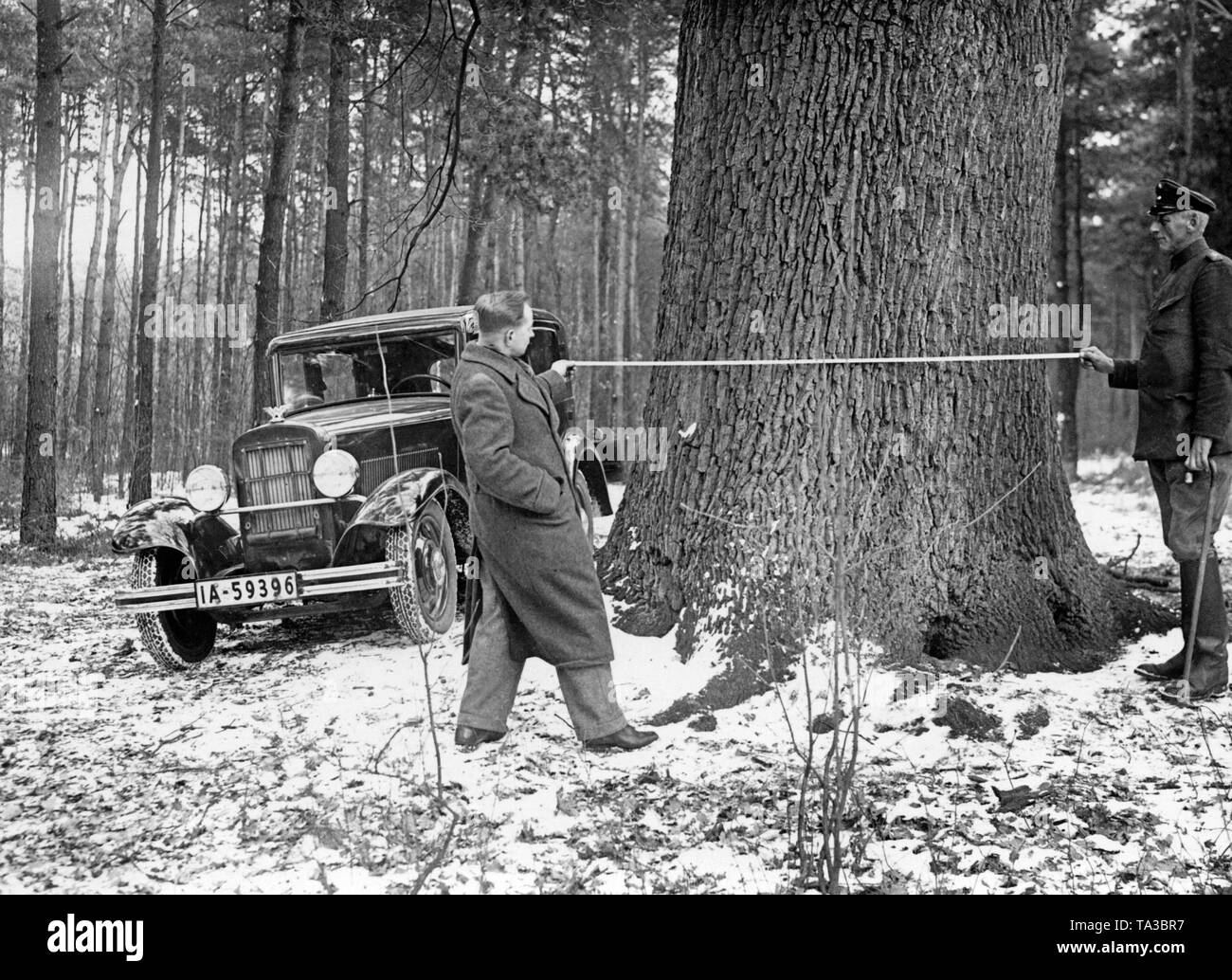 Named trees Black and White Stock Photos & Images - Alamy