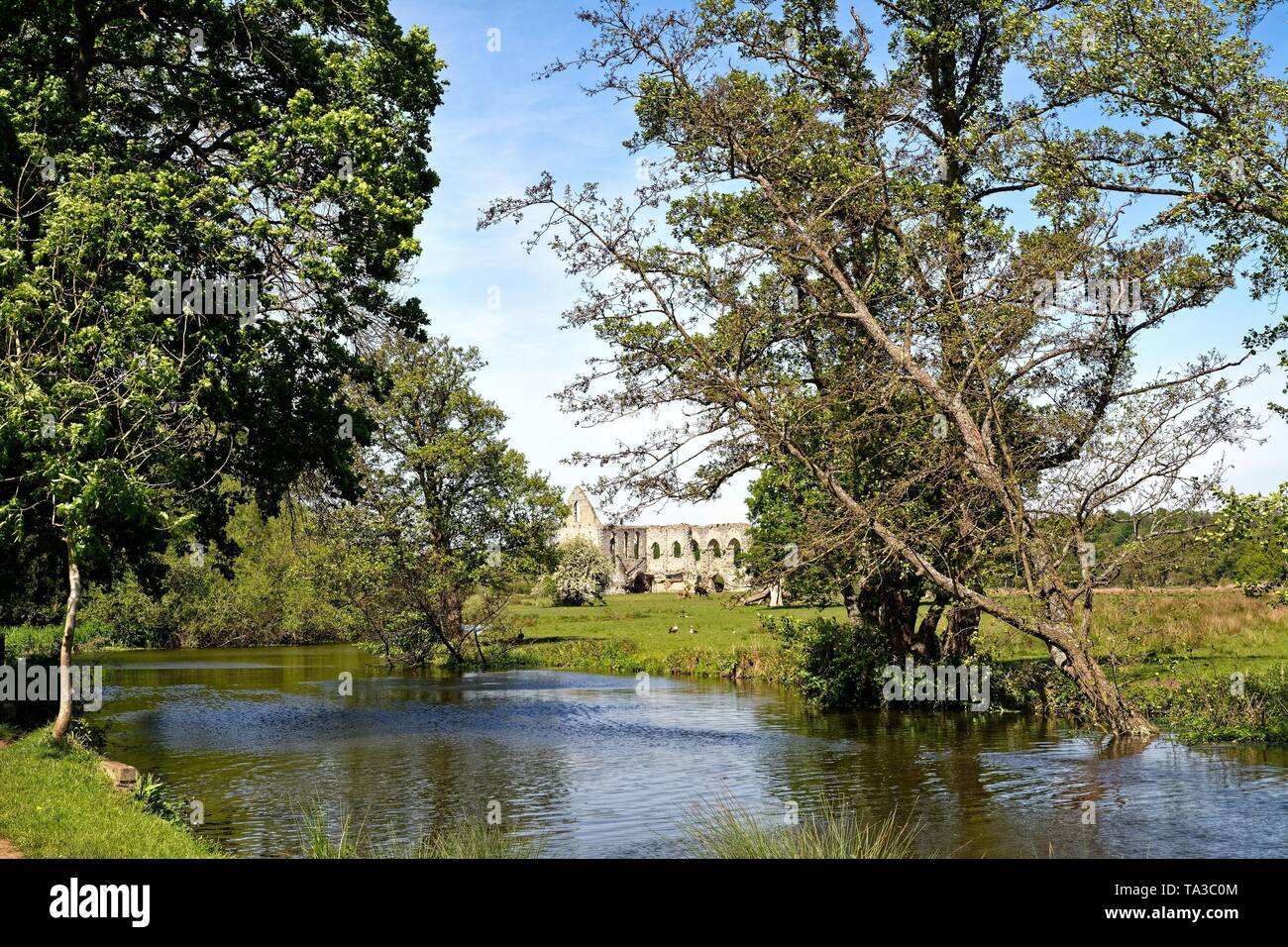 The ruins of Newark Abbey, an Augustinian priory near Ripley and ...