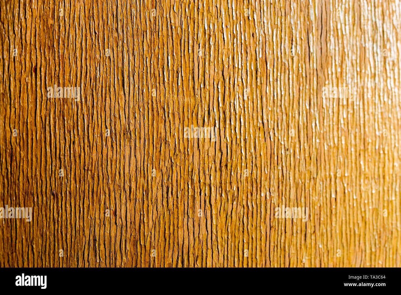 old peeling flat overdryed lacquered plywood texture with vertical ...