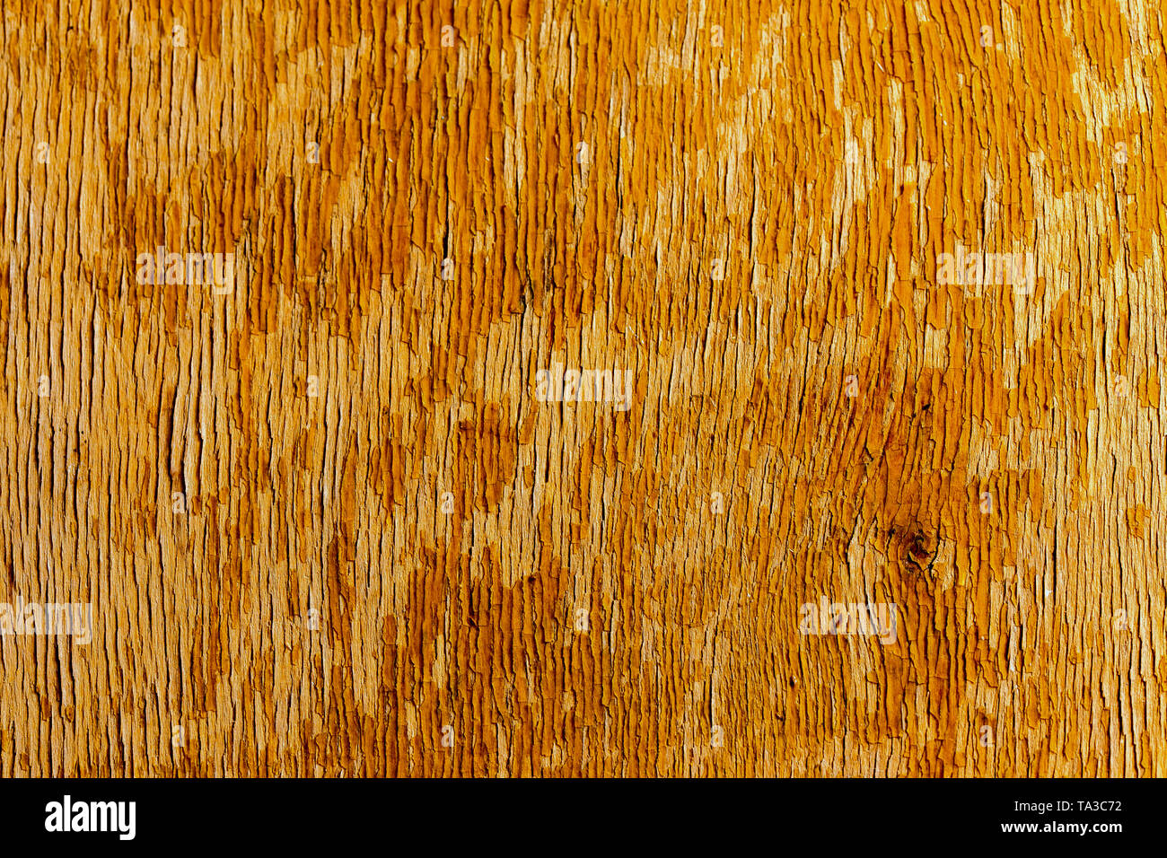 old peeling flat overdryed lacquered plywood texture with vertical ...