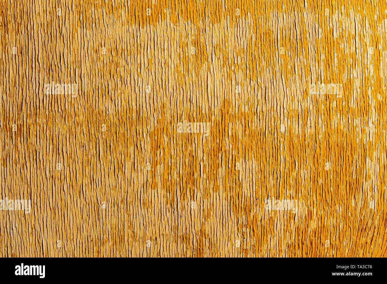 old peeling flat overdryed lacquered plywood texture with vertical ...