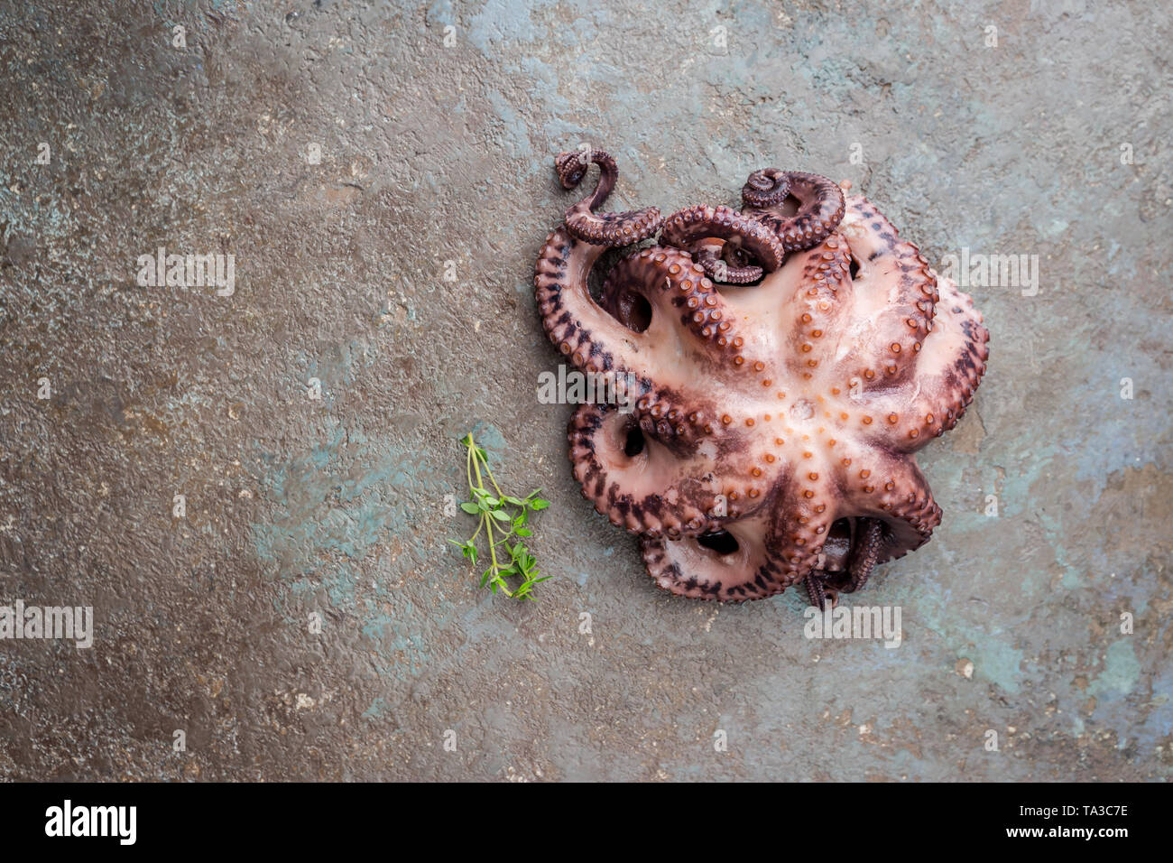 Boiled fresh octopus Stock Photo - Alamy