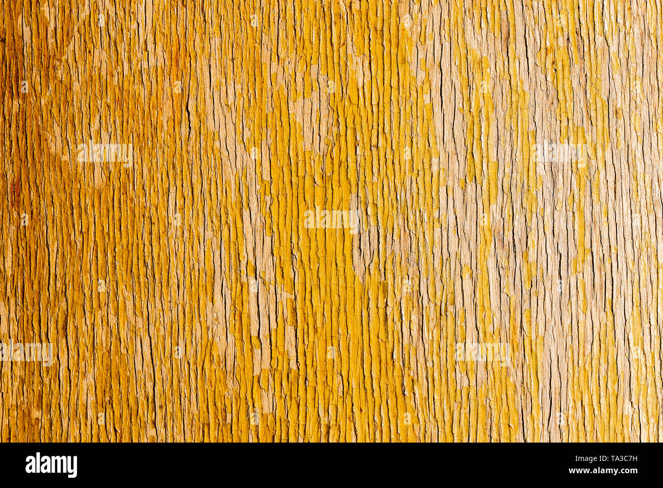 old peeling flat overdryed lacquered plywood texture with vertical ...